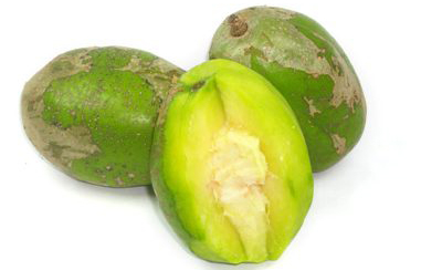 Những điều thú vị về quả cóc